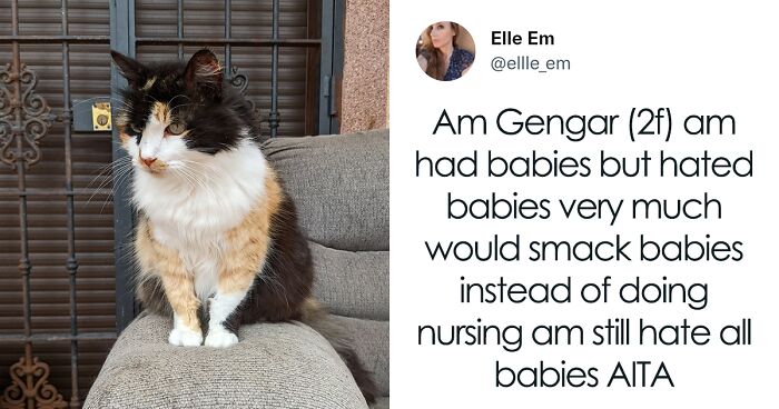 35 AITA Posts That Are Funny Because They Are Written From A Cat’s ...