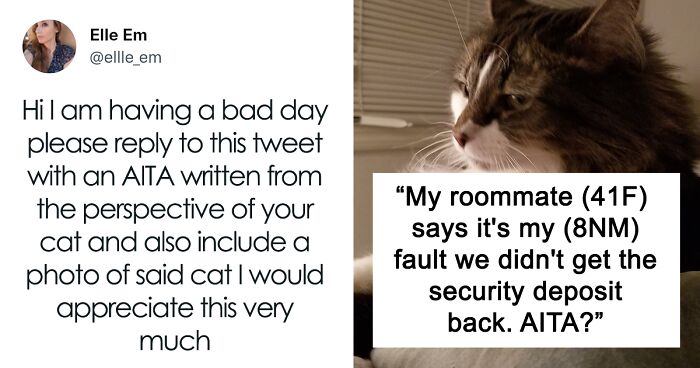 35 AITA Posts That Are Funny Because They Are Written From A Cat’s ...