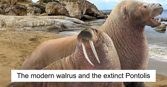 26 New Comparisons Of The Sizes Of Prehistoric Animal Ancestors And ...