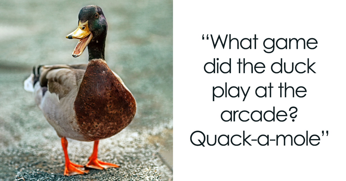131 Duck Jokes That Might Just Quack You Up | Bored Panda