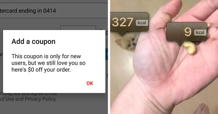 People Are Sharing Pics Of The Worst Software Fails They’ve Encountered ...