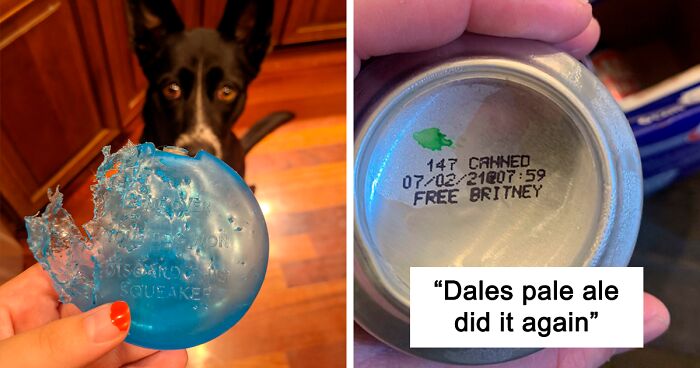 50 Times People Were Lucky Enough To Find These Easter Eggs Hidden In ...