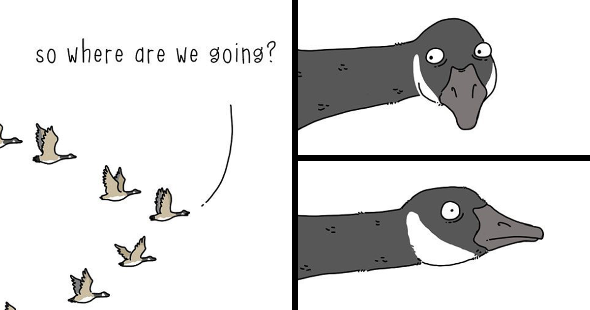 Jimmy Craig Is Back With His ‘They Can Talk’ Animal Comics, And Here ...