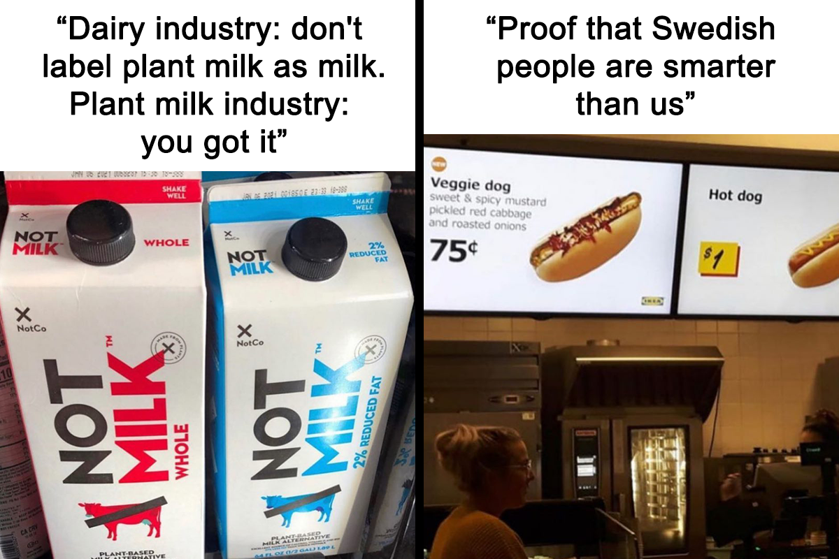 Over 350k People Follow This Instagram Account Dedicated To “Vegan ...