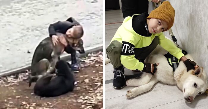 Video Shows Young Boy Stopping To Hug Two Stray Dogs When He Thinks No ...