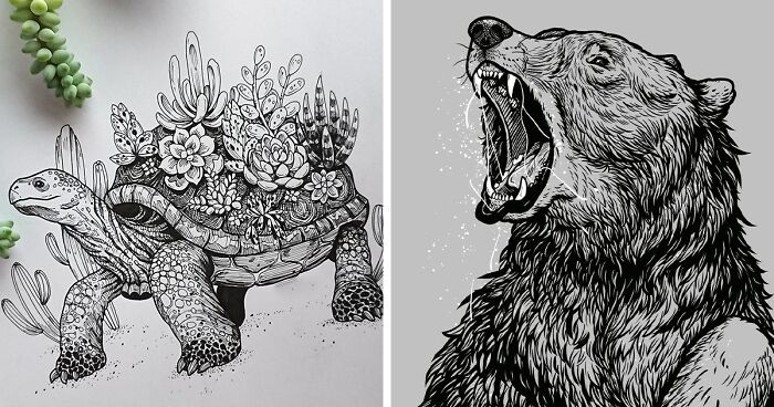 30 Intricate Drawings Of Animals Created By Me | Bored Panda