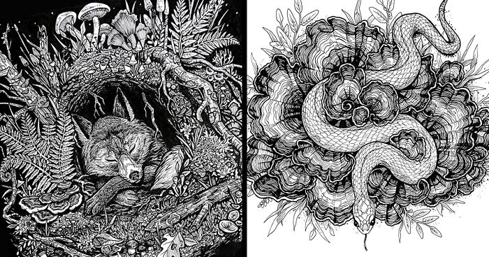30 Intricate Drawings Of Animals Created By Me | Bored Panda