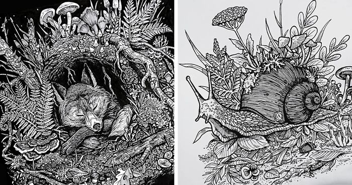 30 Intricate Drawings Of Animals Created By Me | Bored Panda