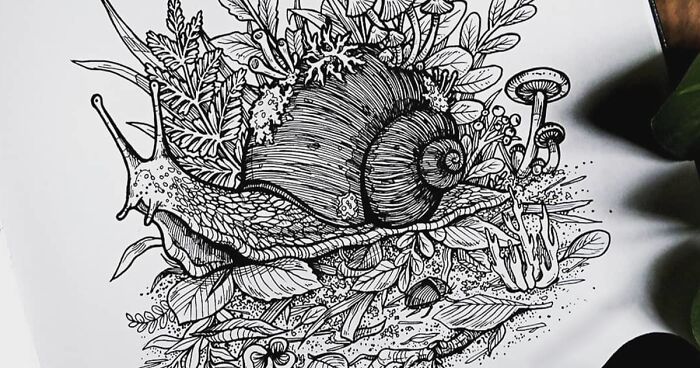 30 Intricate Drawings Of Animals Created By Me | Bored Panda