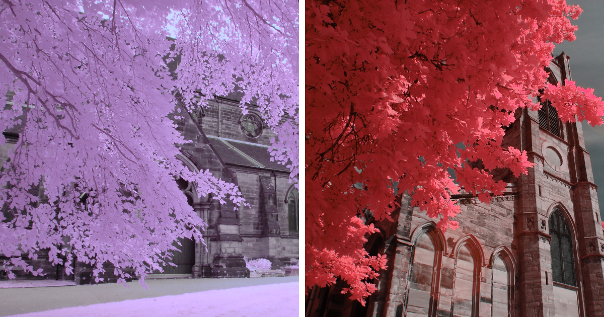 I Am A Newbie Infrared Photographer And Here Are Some Of My Best Pics ...