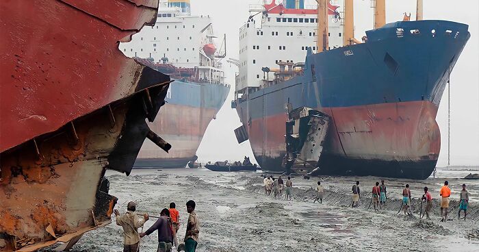 People Are Sharing Their Megalophobia Moments, And Here Are 50 Pics ...