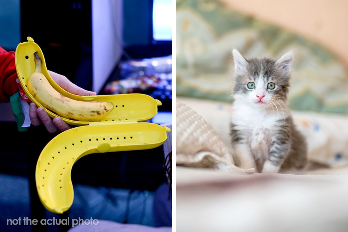 30 People Share Unexpected Gifts They Received That Turned Out To Be ...