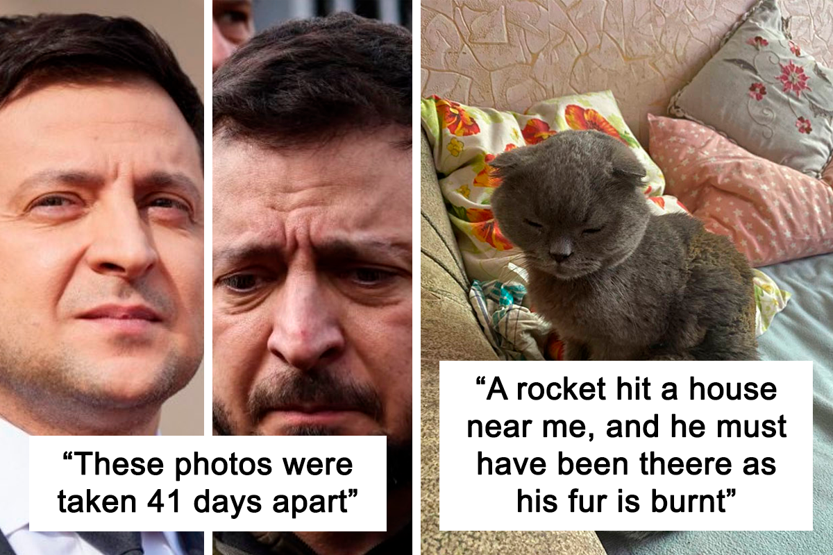 40 Photos That Carry With Them The Most Heartbreaking Stories From The ...