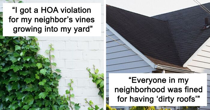 Homeowner Association Nightmares: People Are Sharing The Most ...