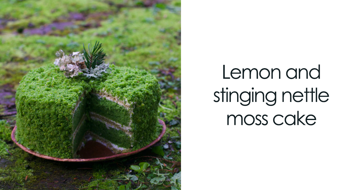 I Bake Nature-Inspired Cakes, And Here Are My 15 Best Ones | Bored Panda