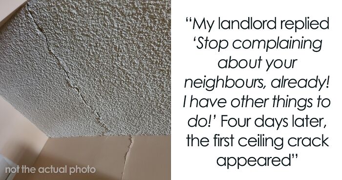 “Stop Complaining About Your Neighbors”: Guy Maliciously Complies To ...