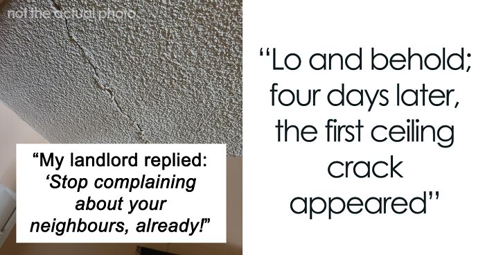 “Stop Complaining About Your Neighbors”: Guy Maliciously Complies To ...