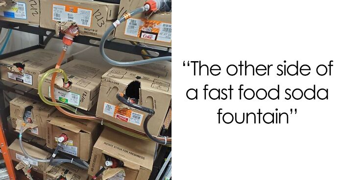 50 Times People Spotted Something ‘Mildly Interesting’ And Documented ...