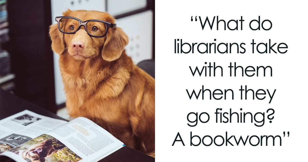 107 Fun School Jokes For Kids And Adults Alike | Bored Panda