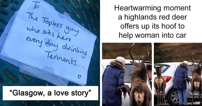 30 Hilarious Tweets That Define The Dry Scottish Sense Of Humor (New ...