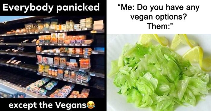 Over 350k People Follow This Instagram Account Dedicated To “Vegan ...