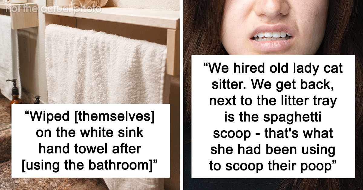 30 Incredibly Rude Or Weird Guests Who Made People Regret Ever Inviting ...