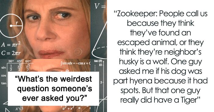 Person Goes Around Asking Professionals What Weird Questions They Have ...