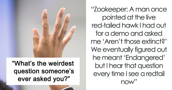 Person Goes Around Asking Professionals What Weird Questions They Have ...