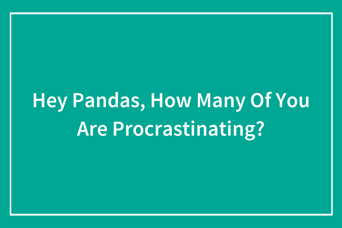 Hey Pandas, How Many Of You Are Procrastinating? (Closed) | Bored Panda