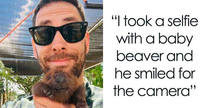 30 Of The Cutest Beaver Pics The Internet Has To Offer