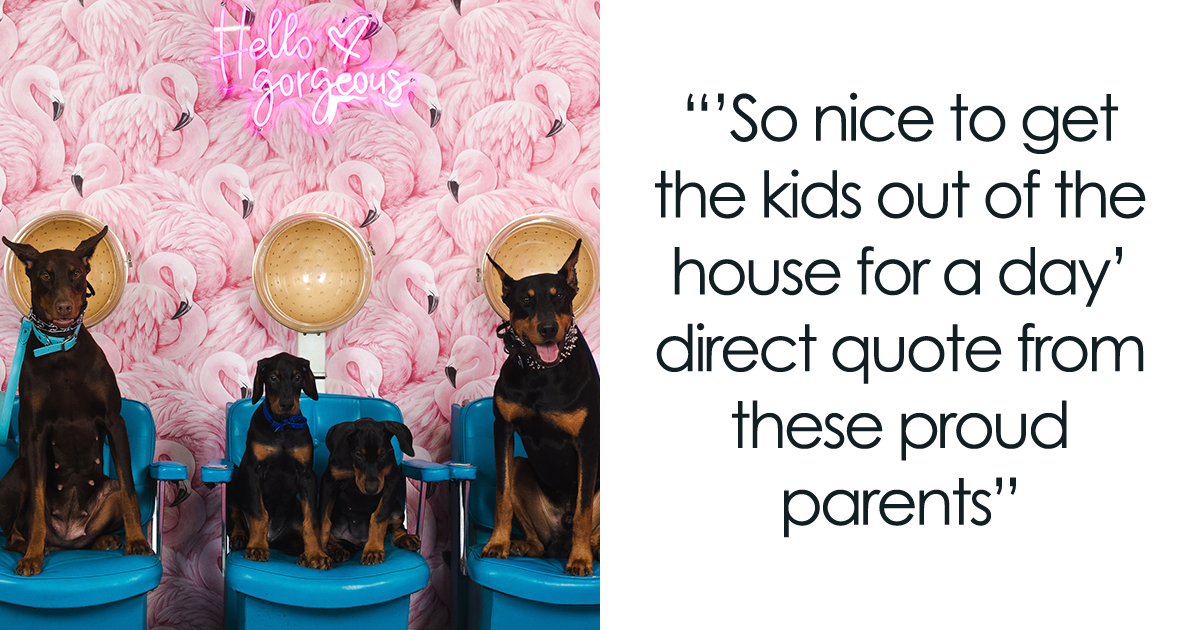 To Prove That Every Pet Is A Model We Set Up A Photo Booth, And Here ...