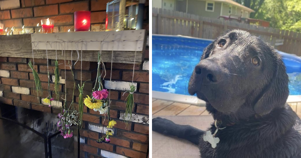 Hey Pandas, Post Your Favorite Things About Warm Weather (Closed ...