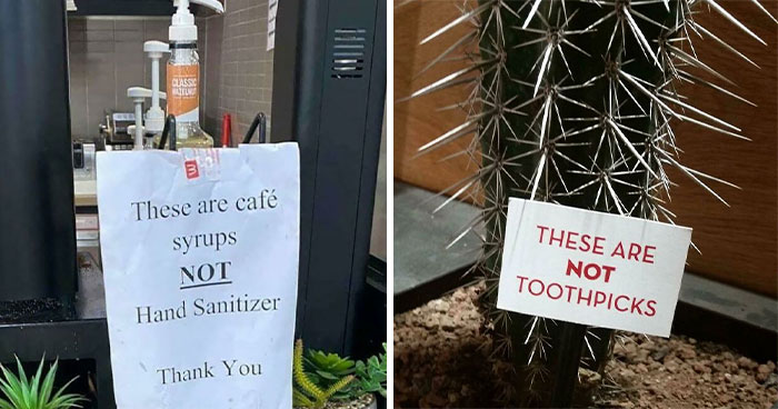 50 Funny Signs That Might Get You Wondering “Just What In The World ...