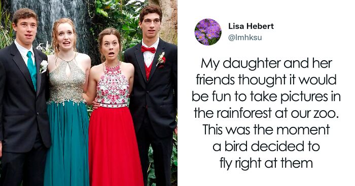 30 Hilariously-Painful ‘Prom Fail’ Moments People Shared For Jimmy ...