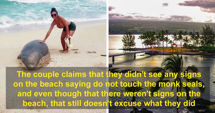 “Our Tourism Industry Produces A False Version Of Hawaiʻi”: Hawaiʻian ...