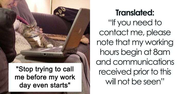 30 Translations From Blunt Insults And Angry Emails Into Professional ...
