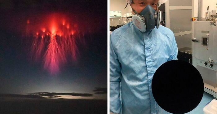 50 Interesting But Pretty Disturbing Things, As Shared In This Online ...