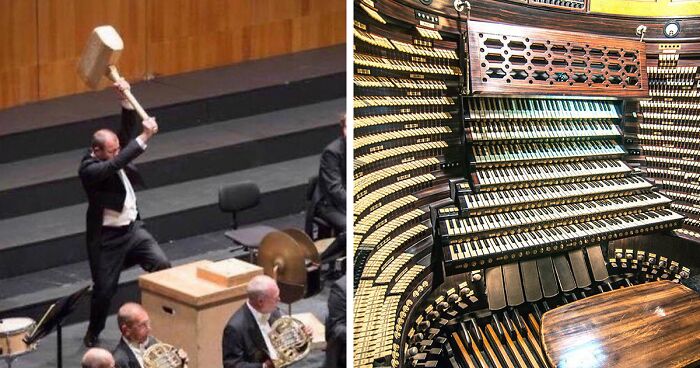 30 Funny And Bizarre Pics From The “Musical Instruments With Chaotic ...