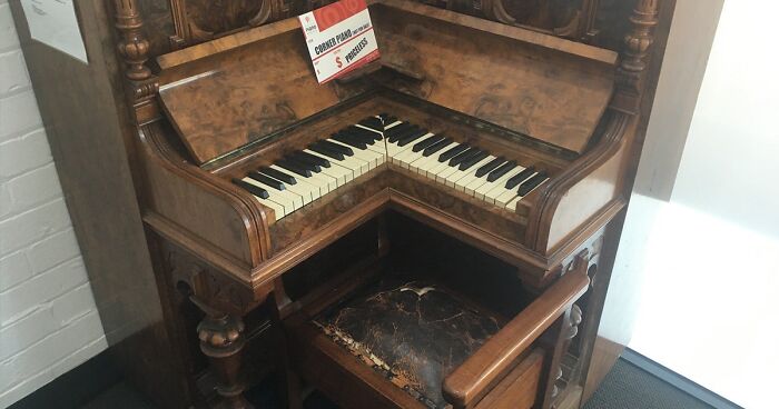 30 Funny And Bizarre Pics From The “Musical Instruments With Chaotic ...