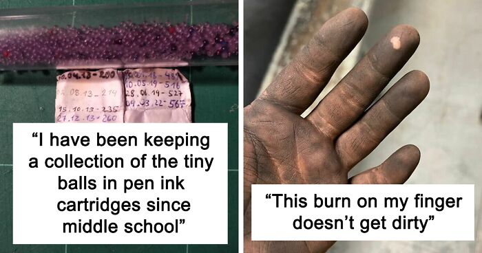 50 Times People Spotted Something ‘Mildly Interesting’ And Documented ...