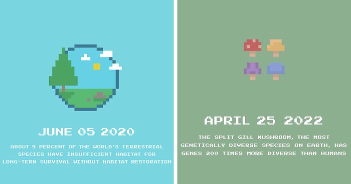 I Combine Pixel Art, Environmental And Animal Facts In My Project ...