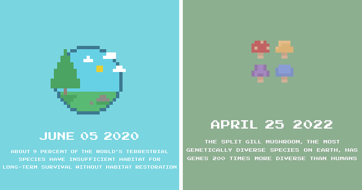 I Combine Pixel Art, Environmental And Animal Facts In My Project ...