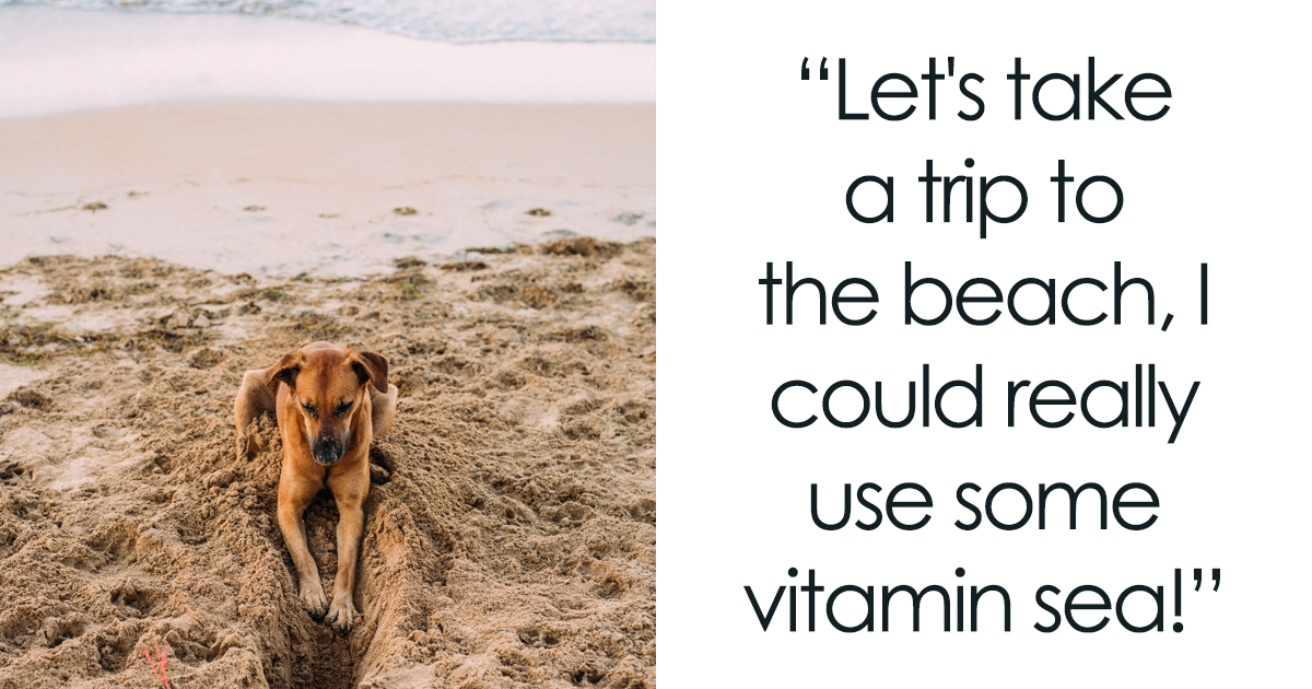 122 Summer Jokes That’ll Bring A Ray Of Sunshine To Your Day | Bored Panda