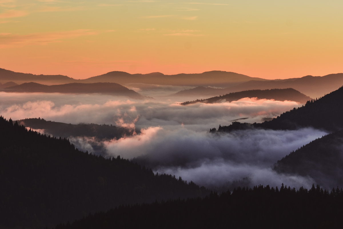 Carpathian Mountains