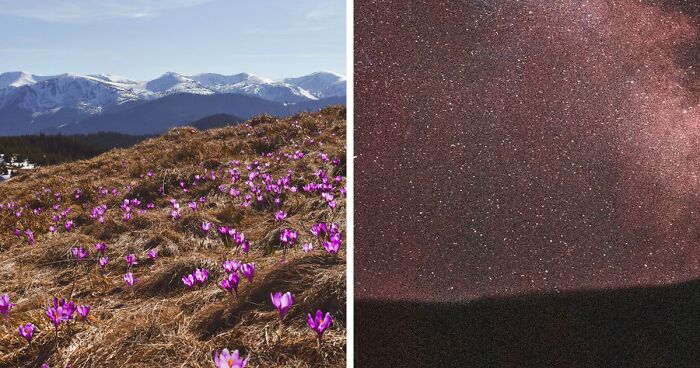 19 Breathtaking Images Of The Ukrainian Carpathians That I Took | Bored ...