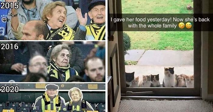 50 Wholesome Memes That Remind Us The World Isn’t All Bad | Bored Panda