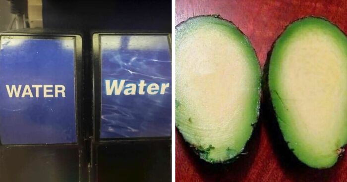 40 Of The Best “Chaotic Food” Pics That Might Raise A Few Questions ...