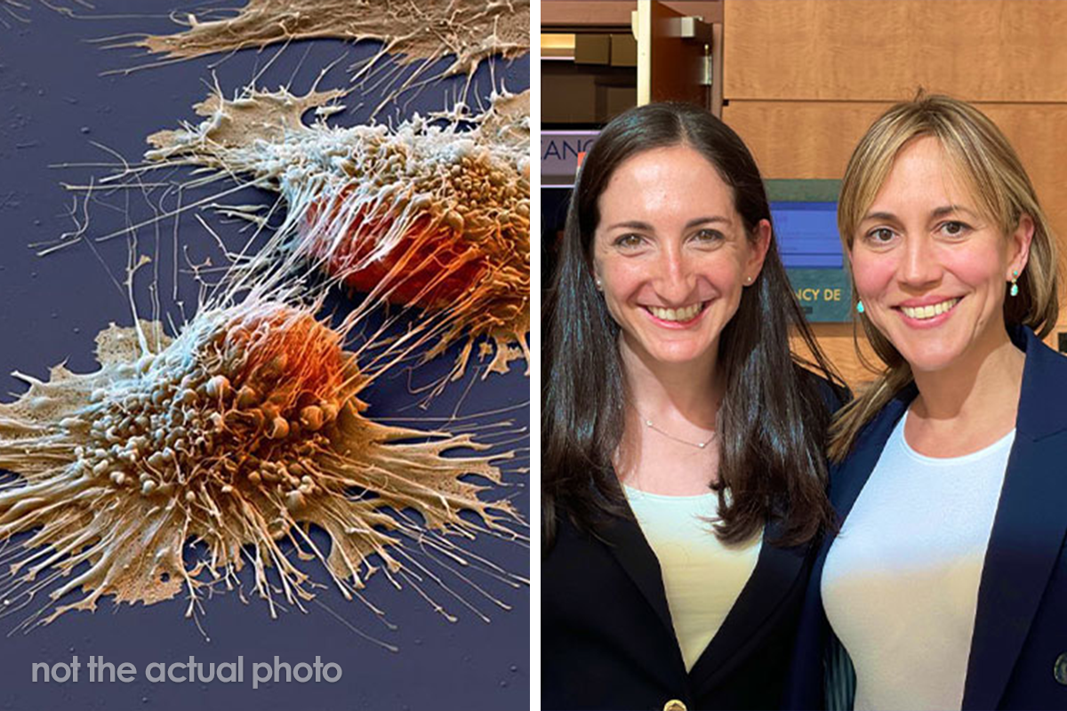 Unexpected Breakthrough In Cancer Drug Trial As All Patients Are ...
