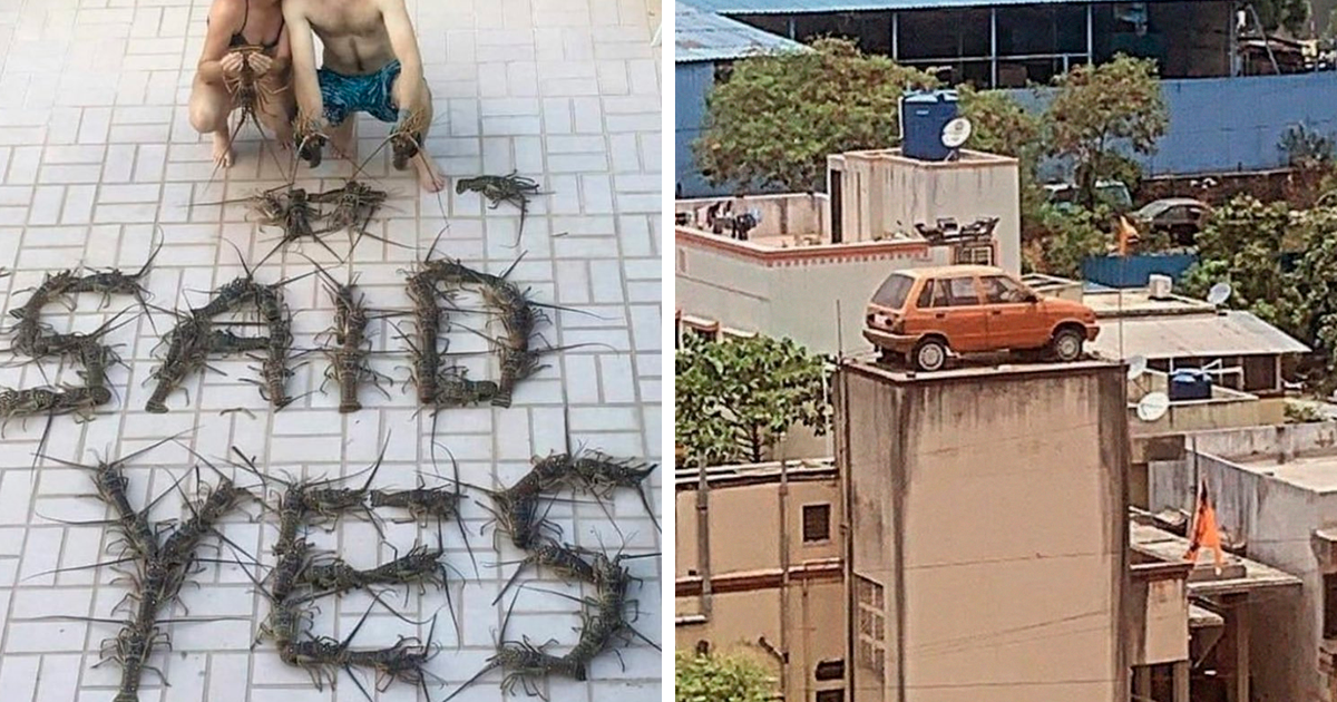 30 Funny And Confusing Pics Posted By The “Images That Require More ...