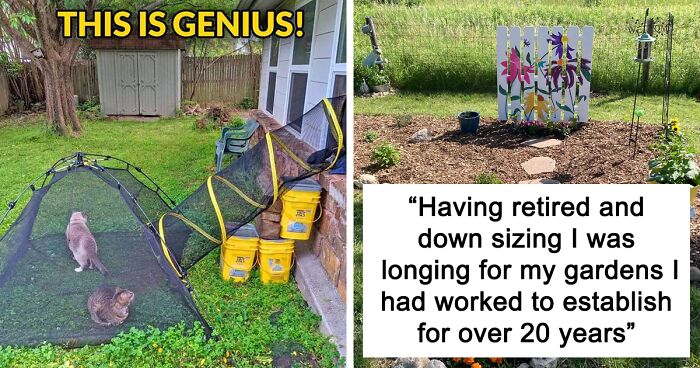 40 Creative Gardening Examples People Shared On This Facebook Group ...